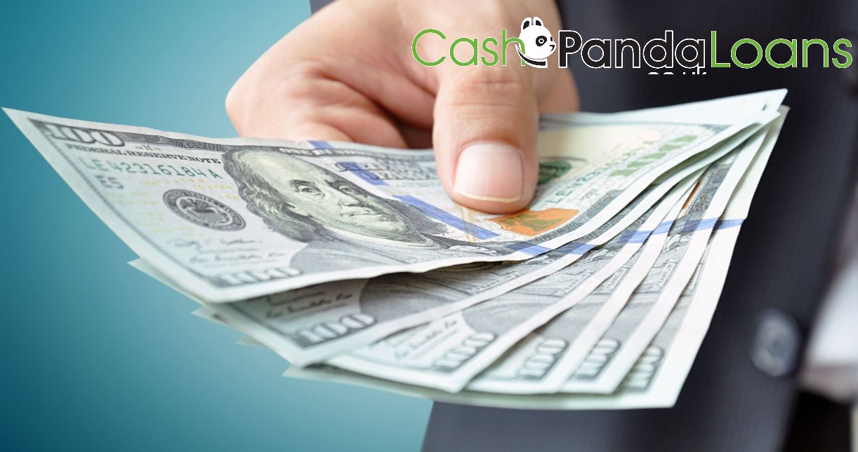 Quick Loans Online - Cash Panda Loans up to $3,000, Free Quote