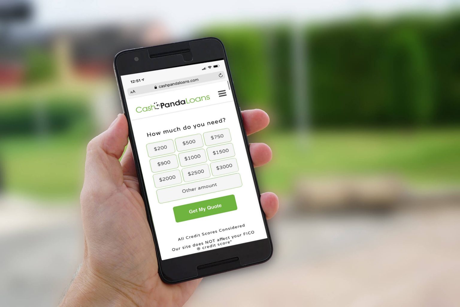 Quick Loans Online - Cash Panda Loans up to $3,000, Free Quote